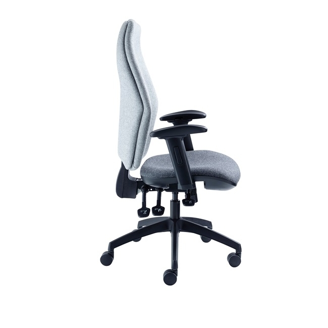 High Back Ergonomic Full Function Chair Multi Function Arms