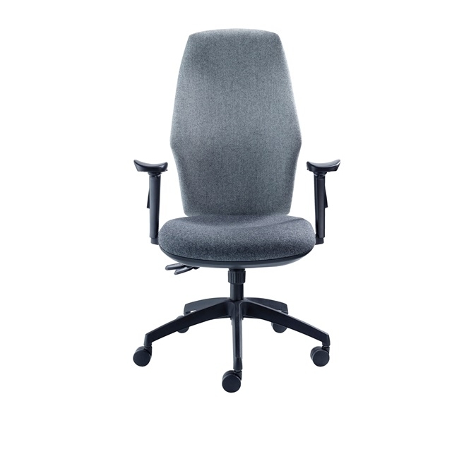 High Back Ergonomic Full Function Chair Multi Function Arms