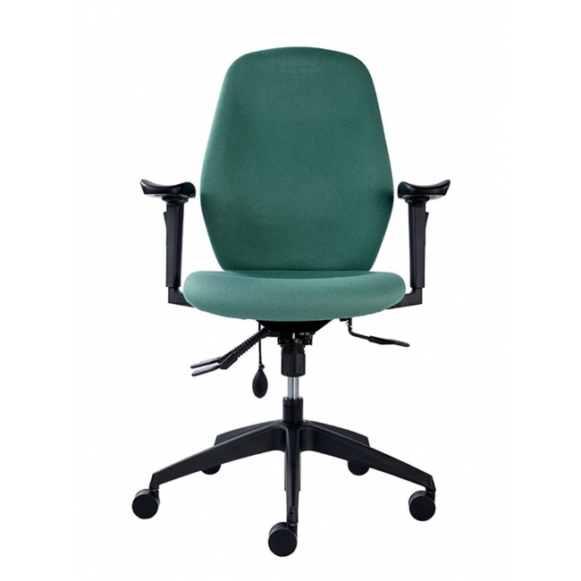 High Back Ergonomic Full Function Chair Multi Function Arms