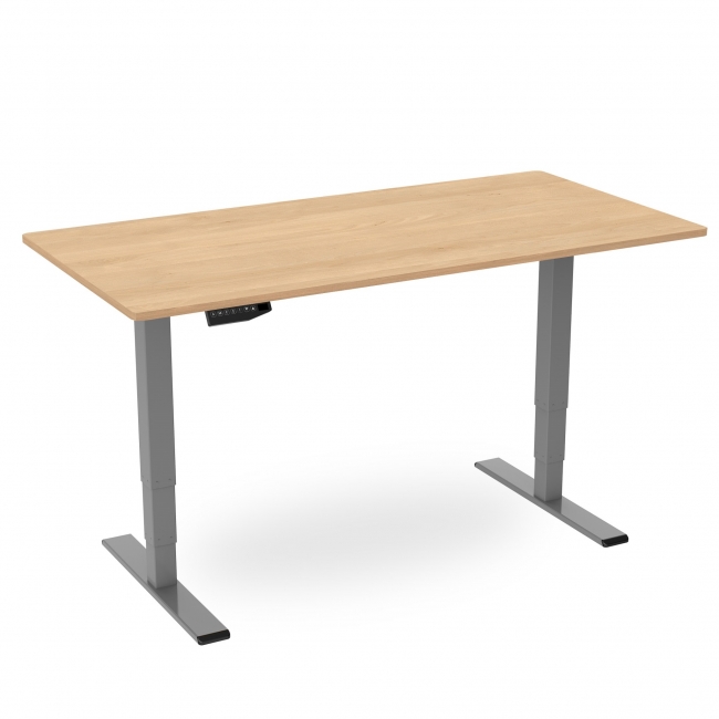 SILVER FRAME Dual Motor Electrically Adjustable Premium Sit-Stand Desk ...